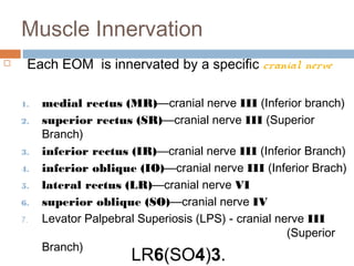 Inconcomitant strabismus types and different tests | PPT
