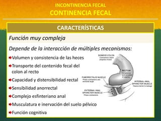 Inconticencia fecal | PPTX