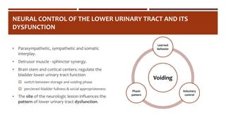 Urinary Incontinence | PPTX