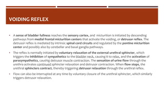 Urinary Incontinence | PPTX