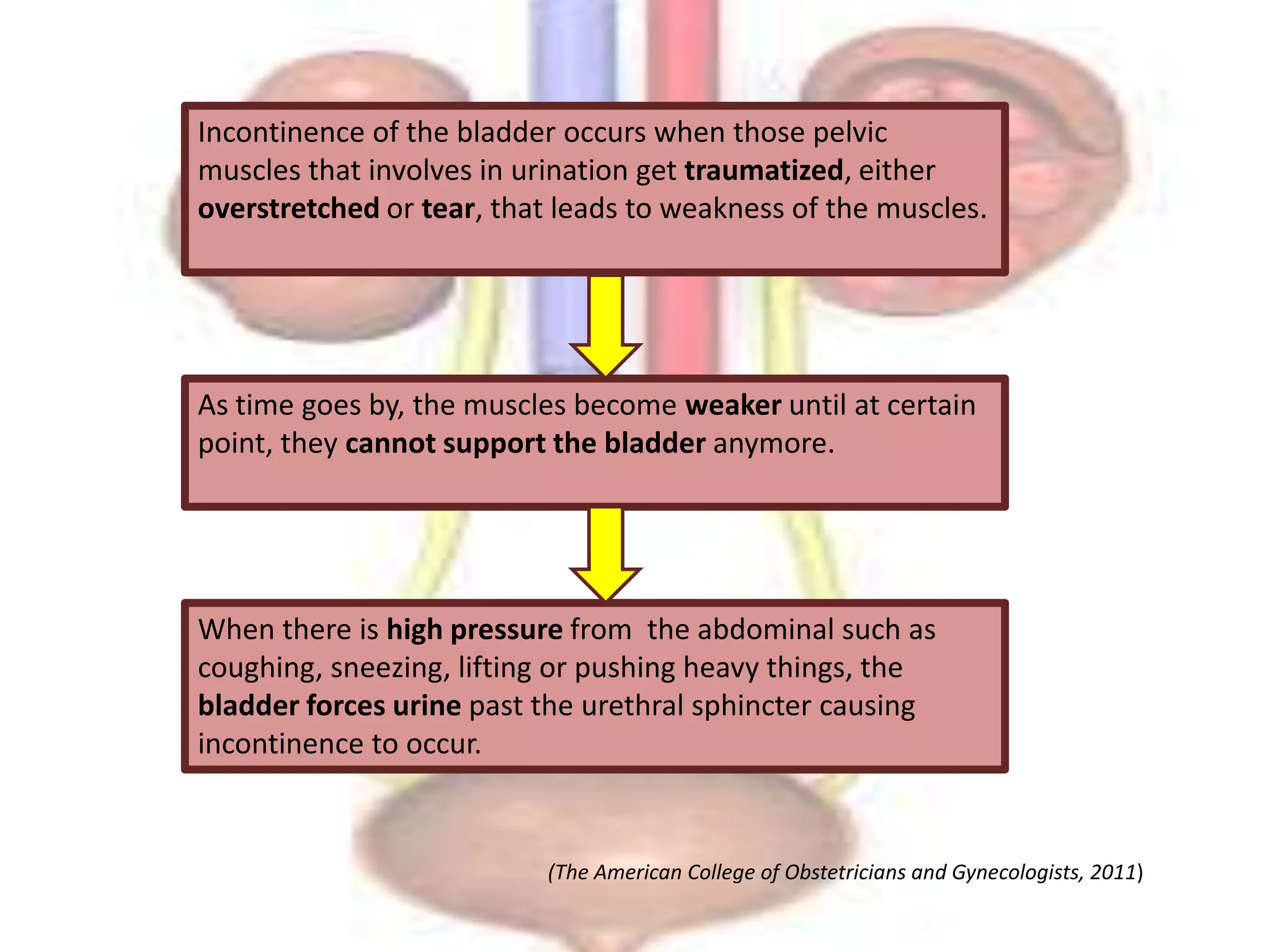 Incontinence bowel and bladder | PPTX