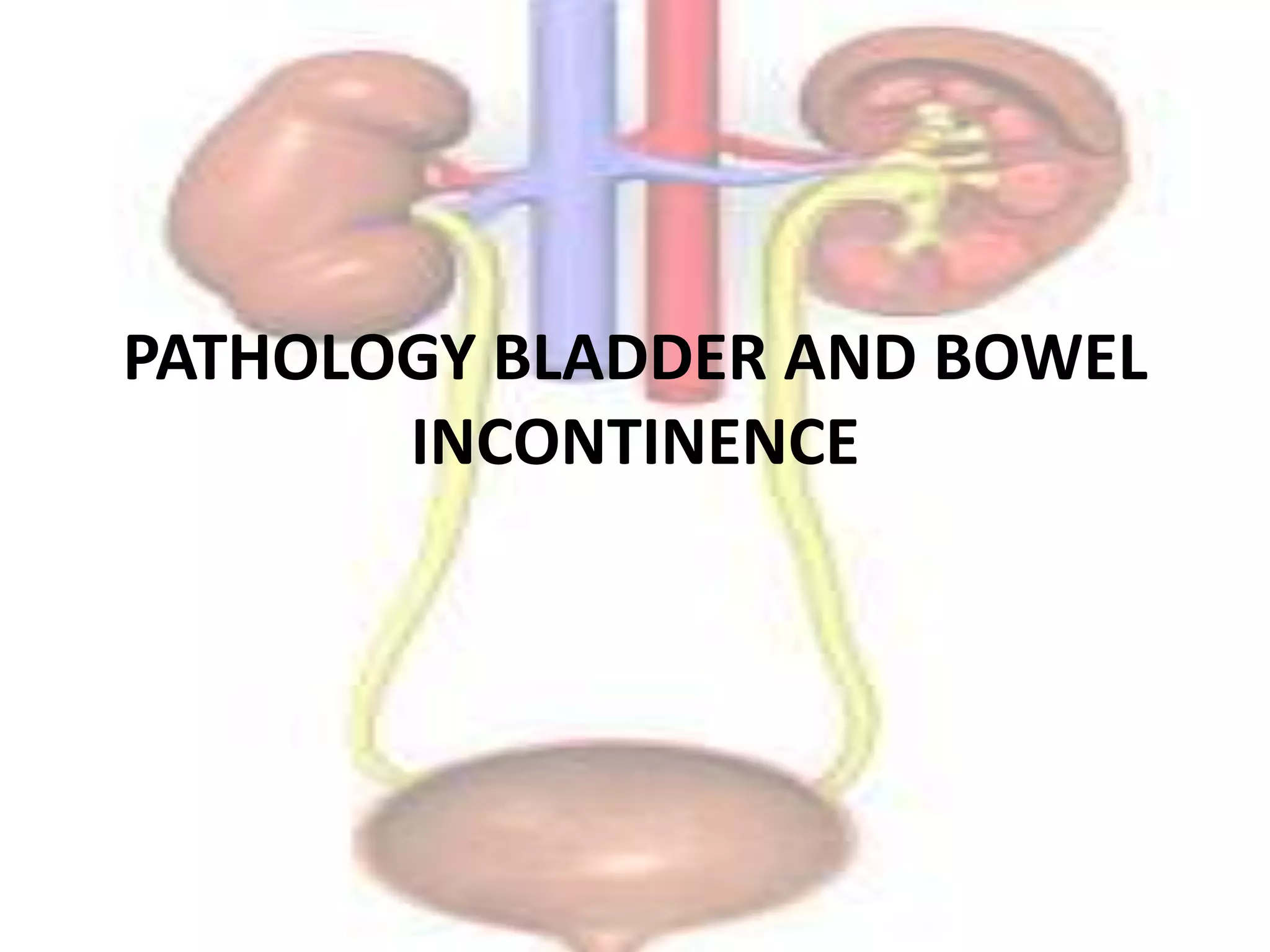 Incontinence bowel and bladder | PPTX