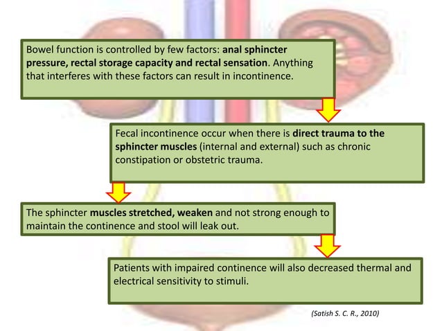 Incontinence bowel and bladder | PPTX | Sexual Conditions | Sexual Health