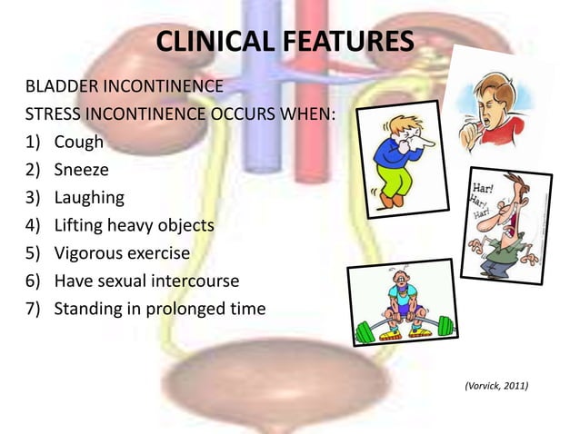 Incontinence bowel and bladder | PPTX | Sexual Conditions | Sexual Health