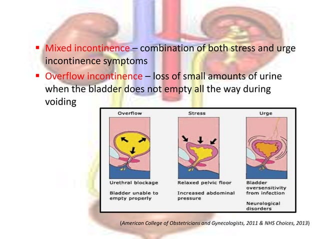 Incontinence bowel and bladder | PPTX | Sexual Conditions | Sexual Health