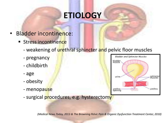 Incontinence bowel and bladder | PPTX | Sexual Conditions | Sexual Health