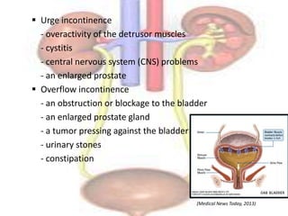Incontinence bowel and bladder | PPTX