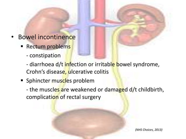 Incontinence bowel and bladder | PPTX | Sexual Conditions | Sexual Health