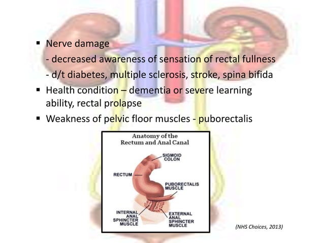 Incontinence bowel and bladder | PPTX | Sexual Conditions | Sexual Health