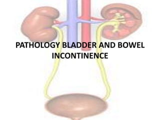 Incontinence bowel and bladder | PPTX