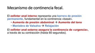 Incontinencia Urinaria y Fecal - Geriatría.pptx