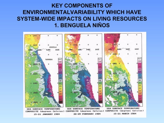 Incorporating Environmental Variability into the Management of a Large ...