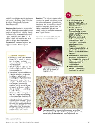 Increased liver enzyme activity in a dog | PDF