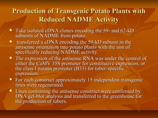 Increase in starch leval by decrease in nad malic | PPT