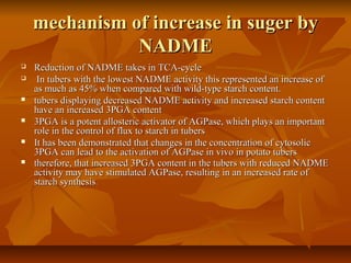 Increase in starch leval by decrease in nad malic | PPT