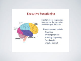 Increasing Independence- Part 1 | PDF