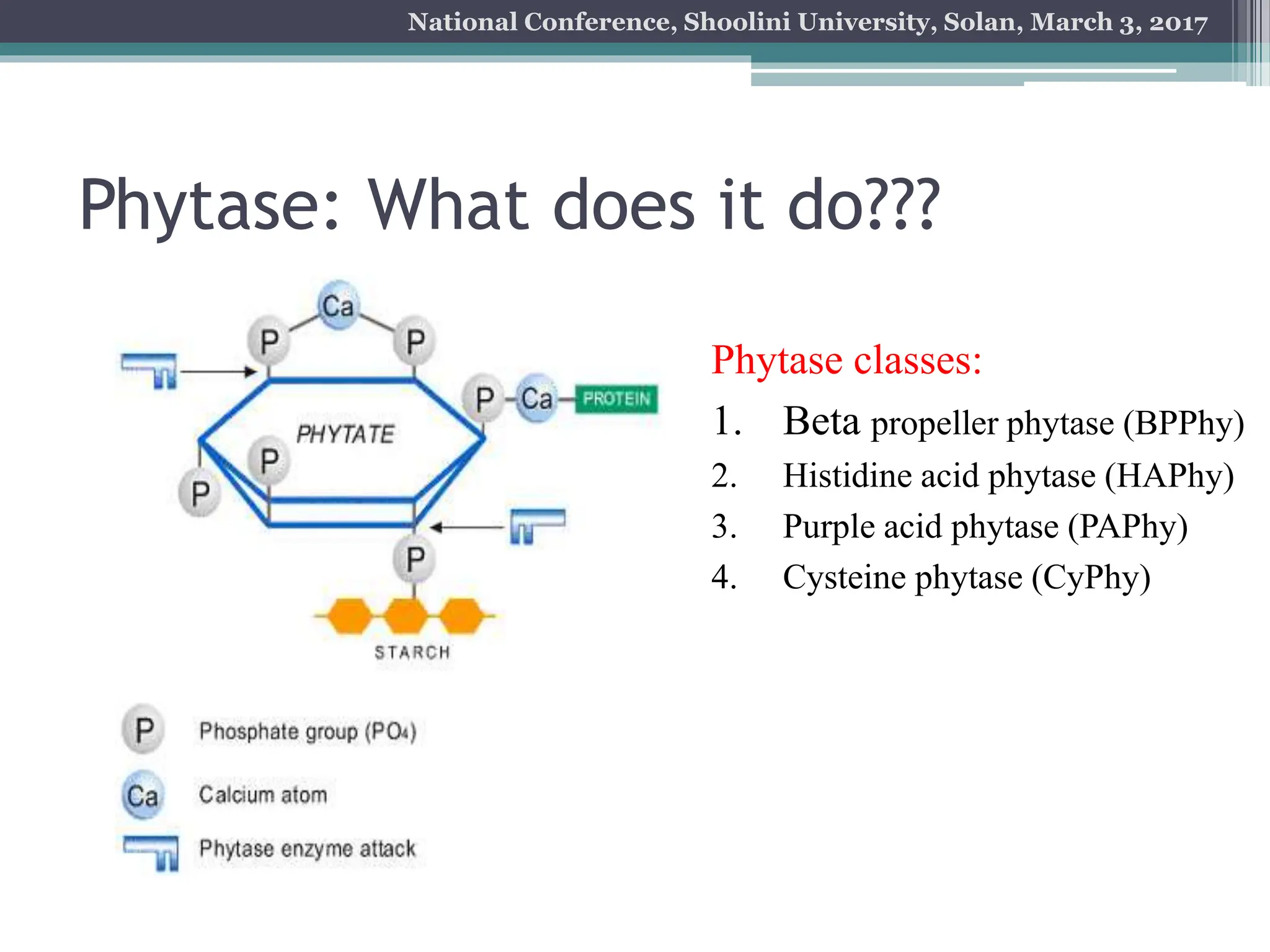 Increasing micronutrient bioavailability in foods by phytase applications.pptx