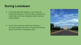 Increasing pollution levels post lockdown | PPT