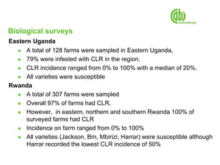 Increasing theResilience of Coffee Production to Leaf Rust and Other ...
