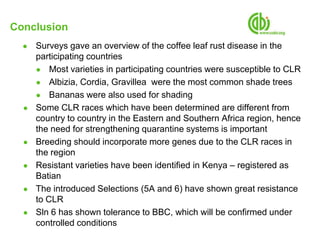 Increasing theResilience of Coffee Production to Leaf Rust and Other ...