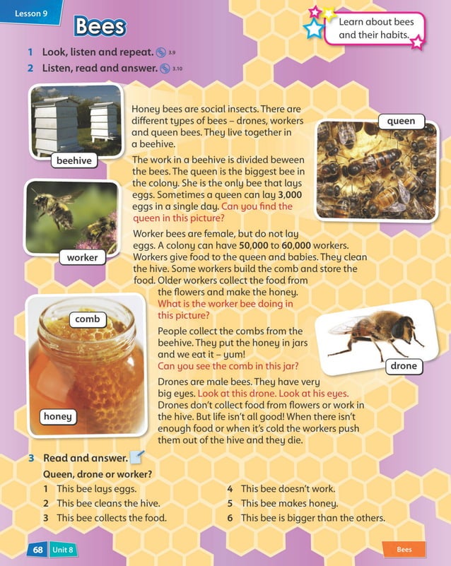 Incredible english 4_class_book (1)