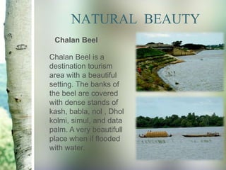 Incredible Rajshahi | PPT