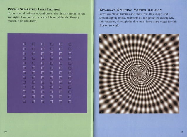 Incredible visual illusions | PDF