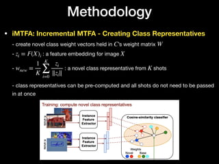 Review: Incremental Few-shot Instance Segmentation [CDM] | PDF