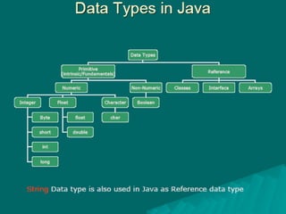 Increment & decrement operator | PPT | Web Development | Internet