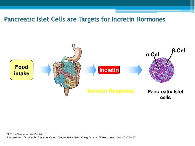 Incretins In Diabetes Mellitus