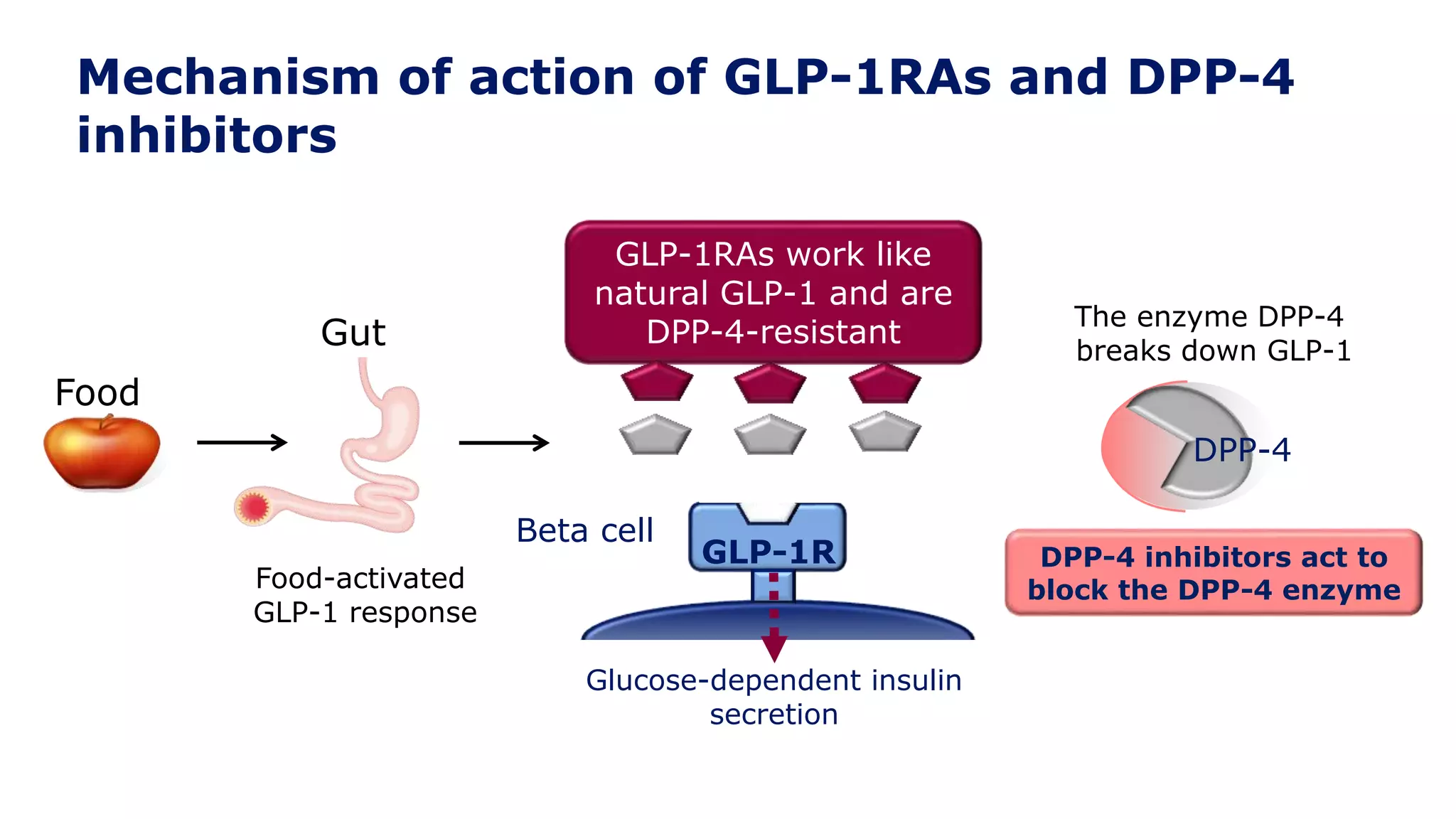 Incretins based therapy :How Early | PPTX