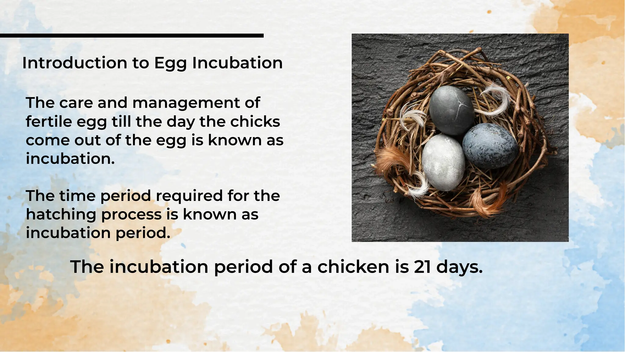 Incubation and Brooding livestock and poultry management | PDF