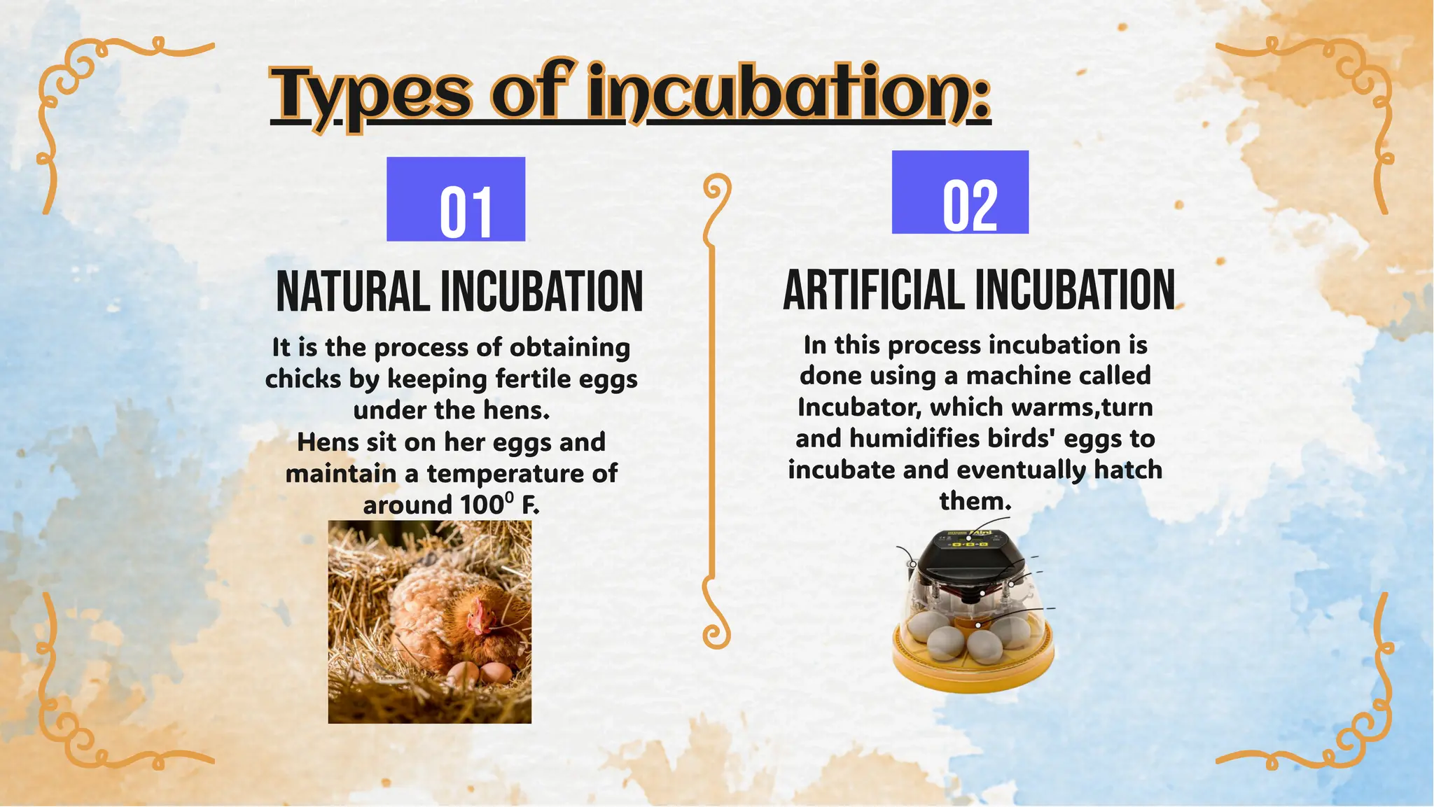 Incubation and Brooding livestock and poultry management | PDF