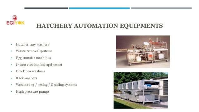 Incubation and egg handling equipment in the Poultry Industry | PPTX