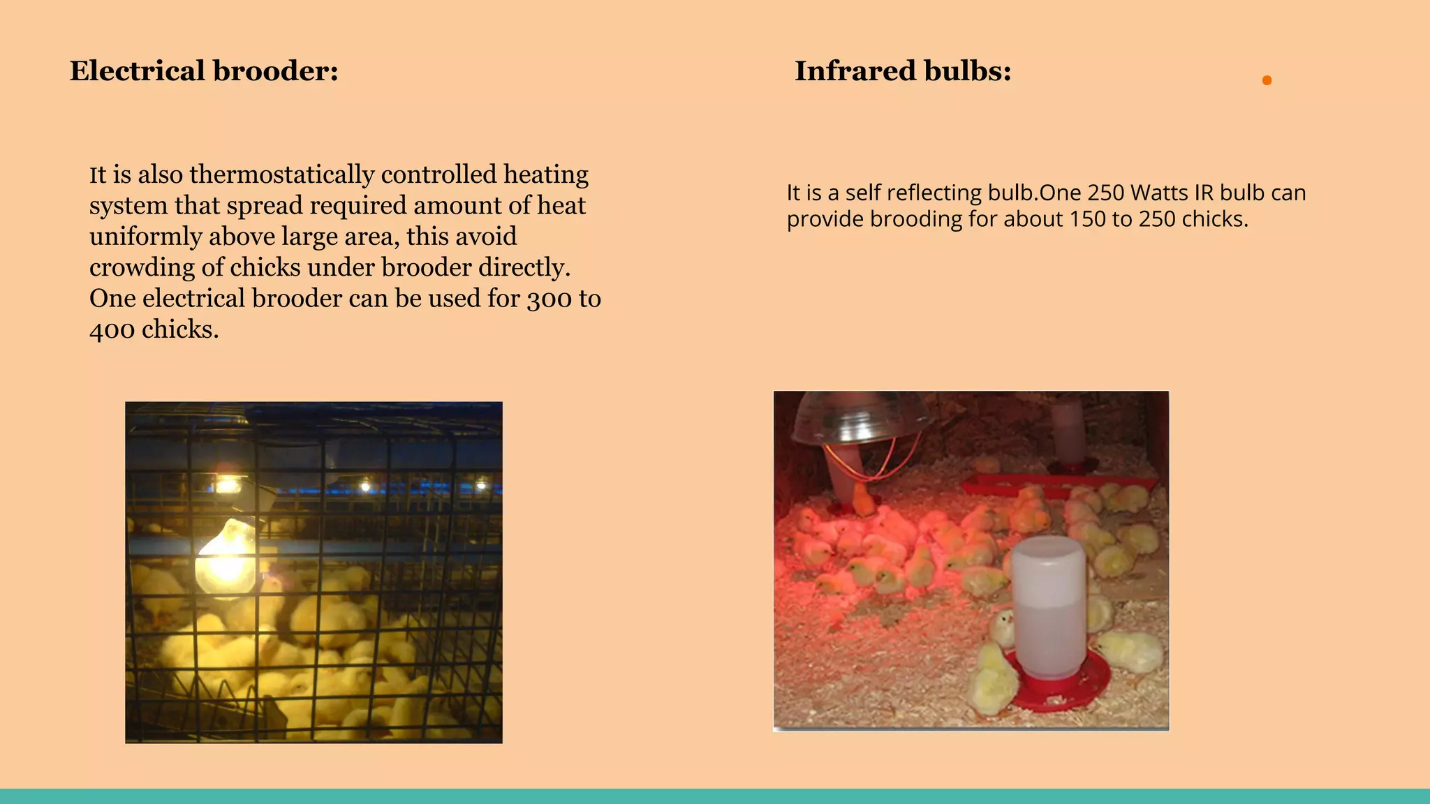 Incubation, hatching and brooding | PDF