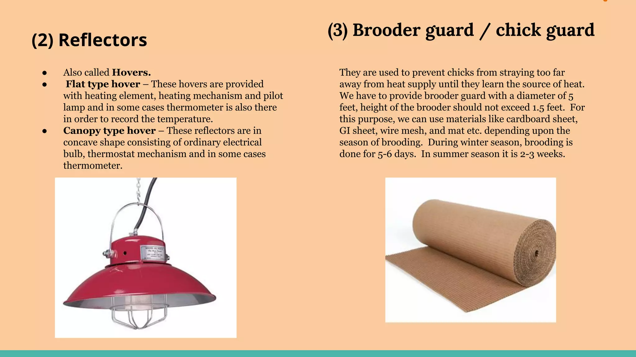 Incubation, hatching and brooding | PDF