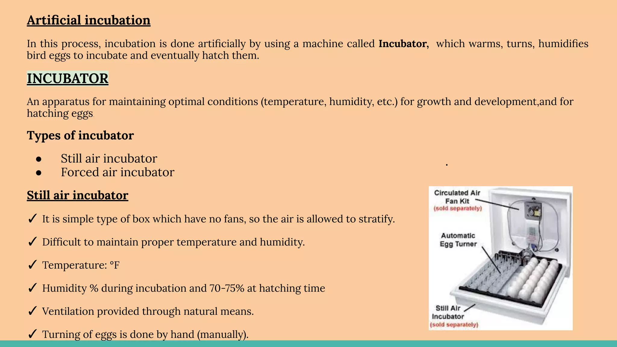 Incubation, hatching and brooding | PDF
