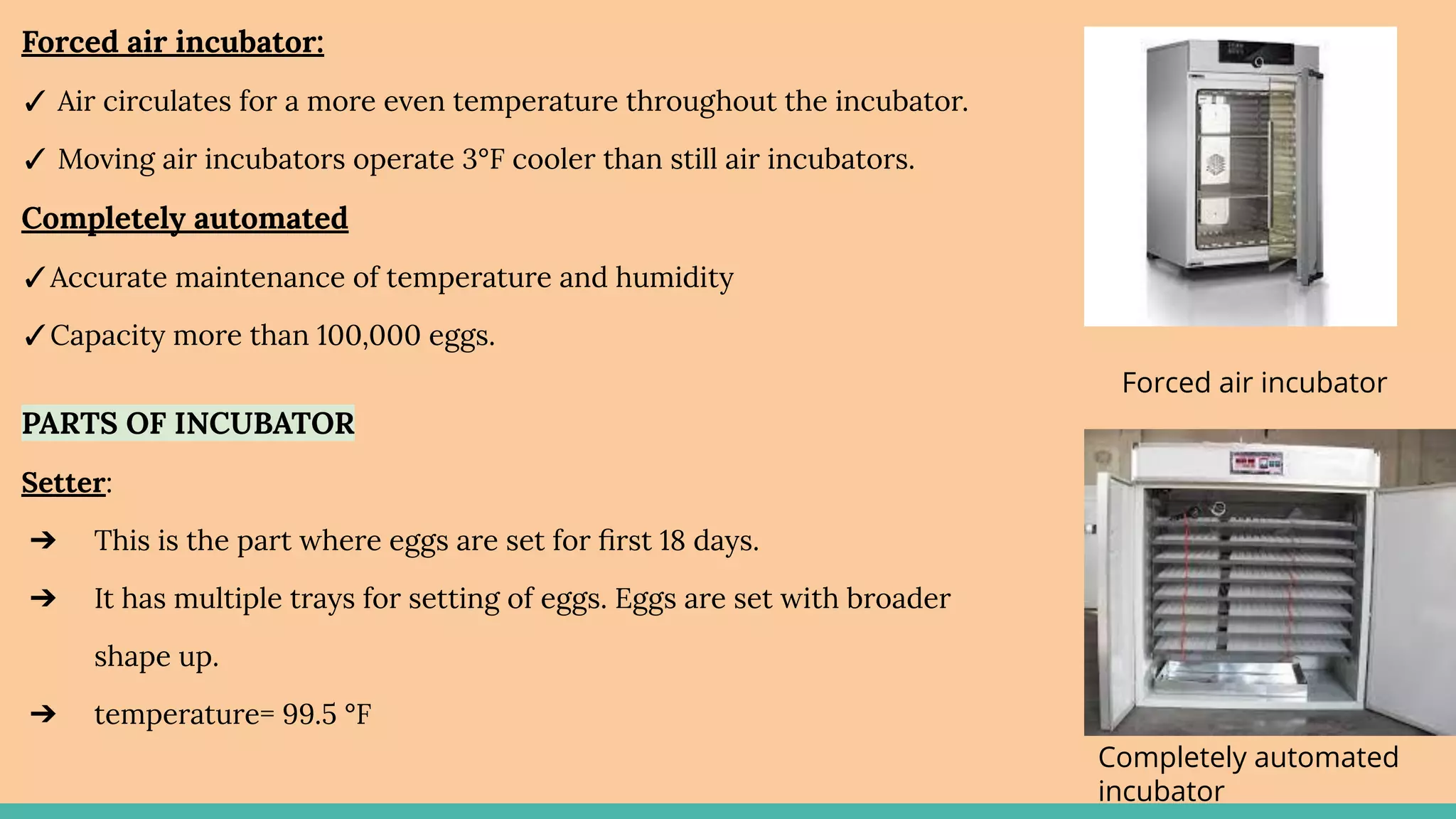 Incubation, hatching and brooding | PDF
