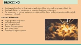 Incubation, hatching and brooding | PDF