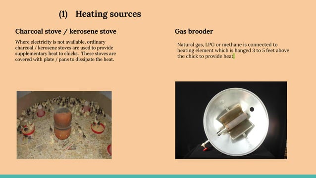 Incubation, hatching and brooding | PDF | Infertility | Reproductive Health