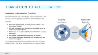 Incubation Phase | PDF