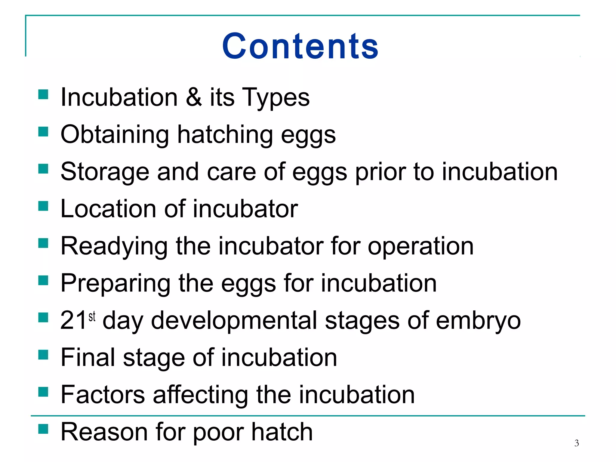 Incubation process of chicken | PPT