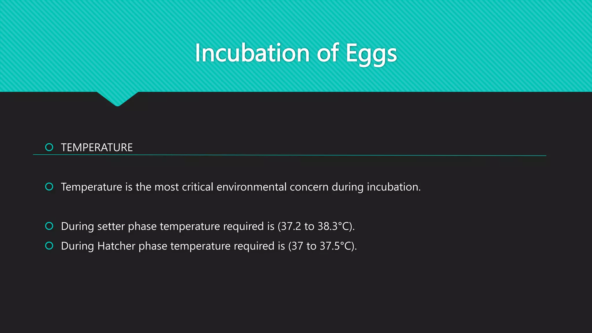 Incubation Process of Chicken Egg.pptx | Free download