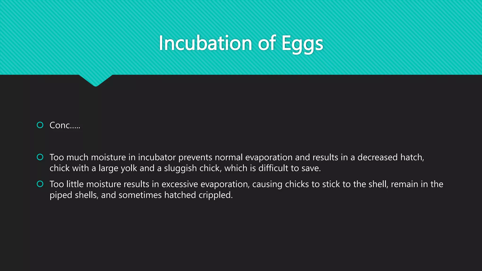 Incubation Process of Chicken Egg.pptx