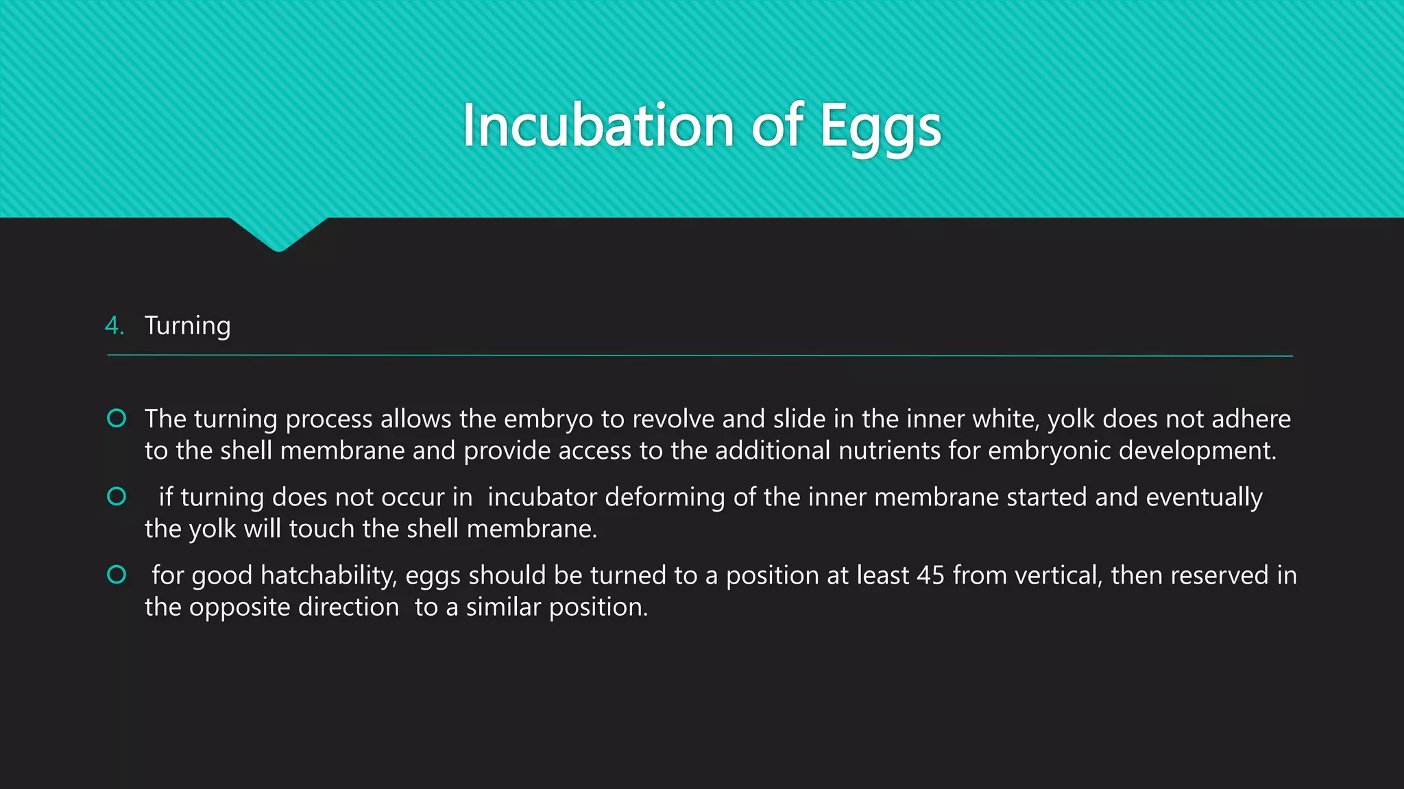 Incubation Process of Chicken Egg.pptx