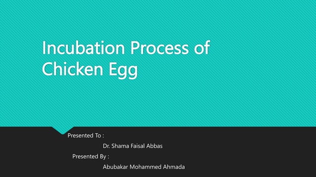Incubation Process of Chicken Egg.pptx