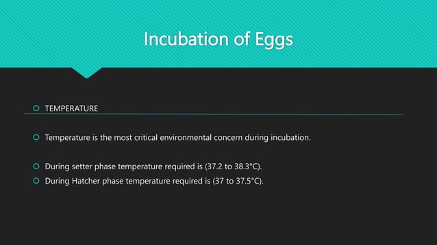 Incubation Process of Chicken Egg.pptx