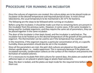 incubator.pptx