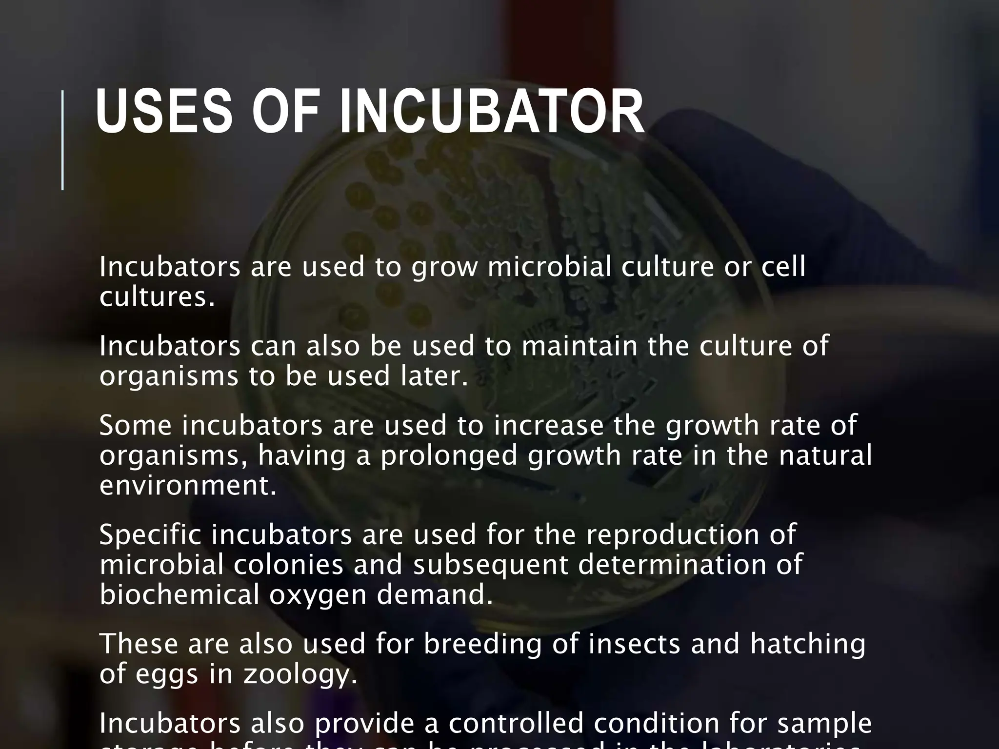 incubator.pptx