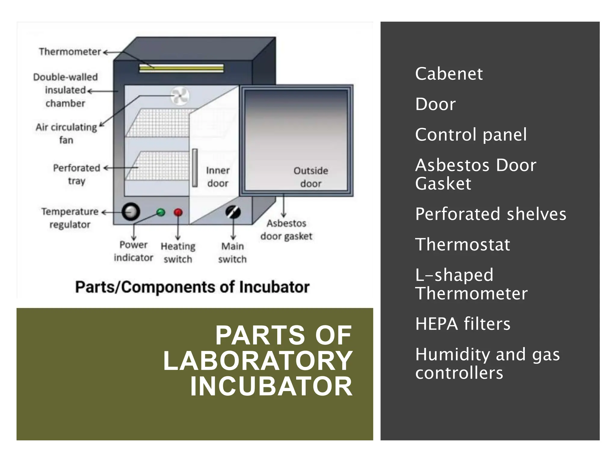 incubator.pptx